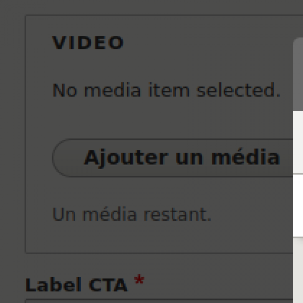 Drupal 8 And Drupal 9 Ajouter Un Champ Media Dans Un Formulaire Et Lafficher Dans Un Template